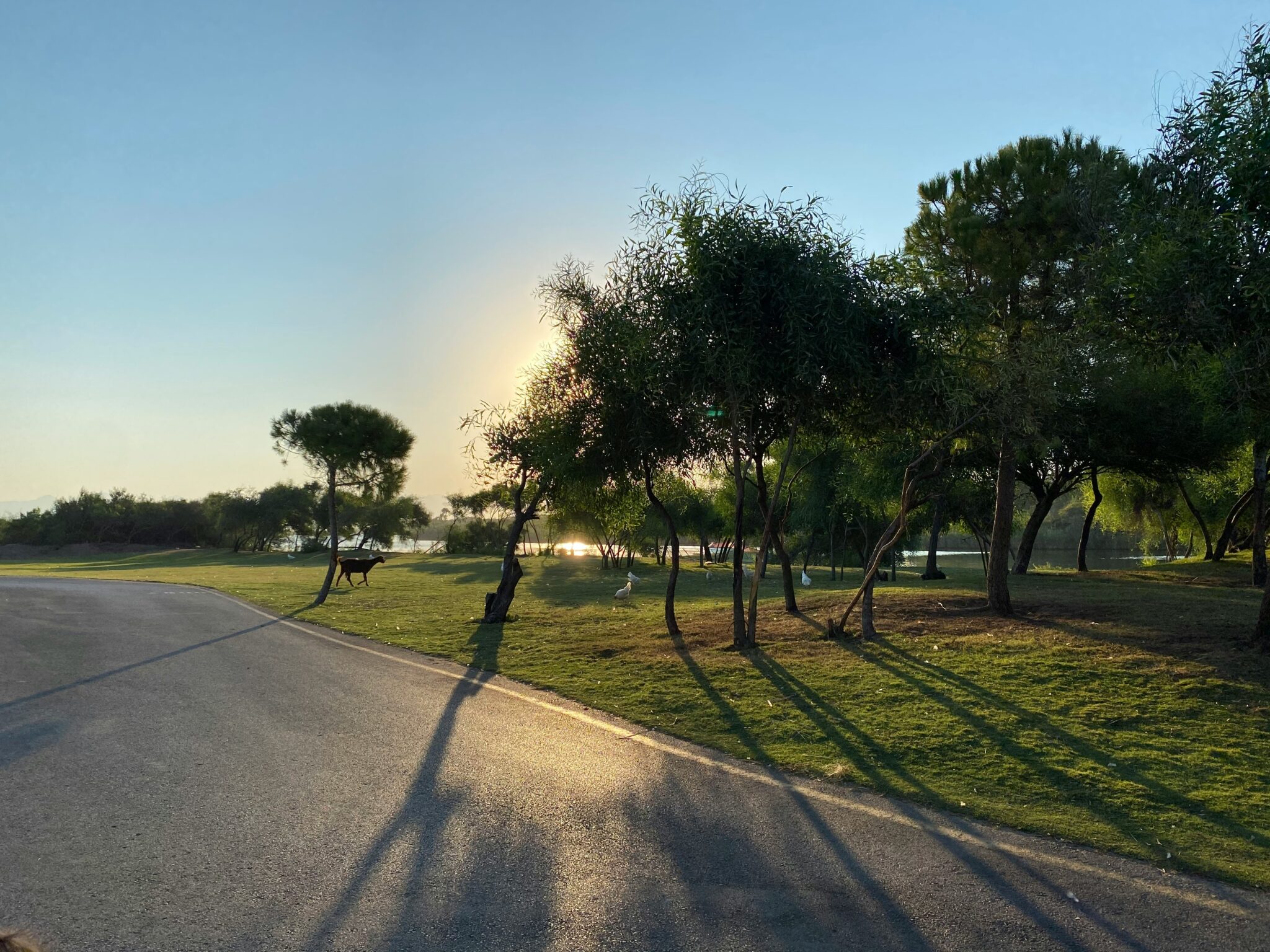 Essential Guide to Terrain Classification