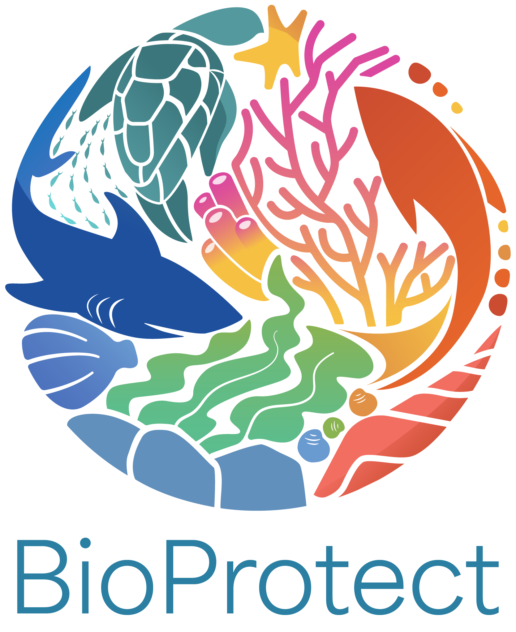 Top Biodiversity Monitoring Tools for Effective Conservation